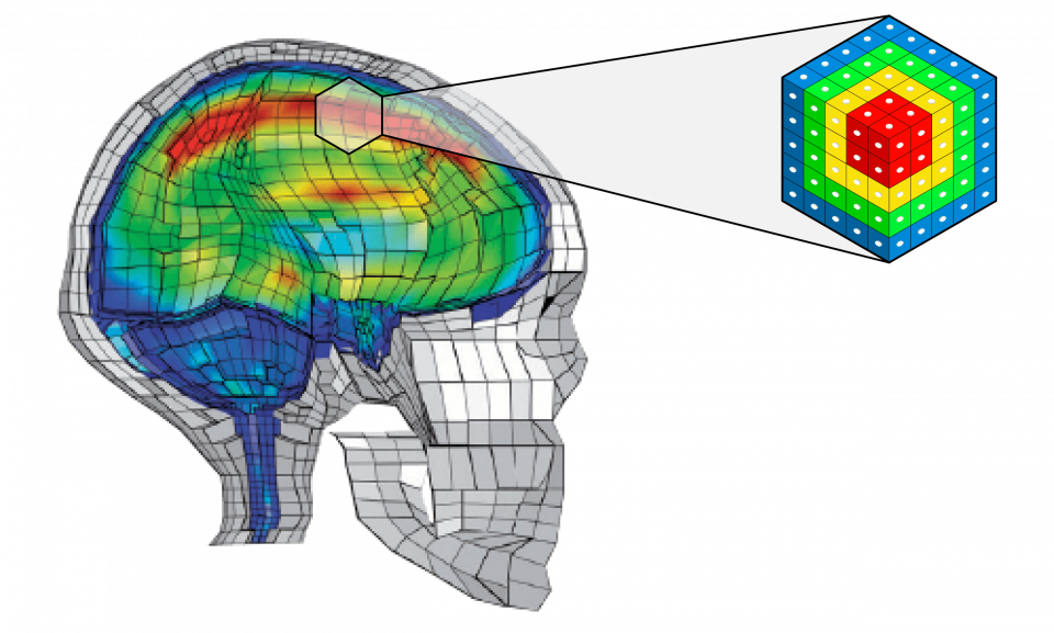 The FE model - Mips